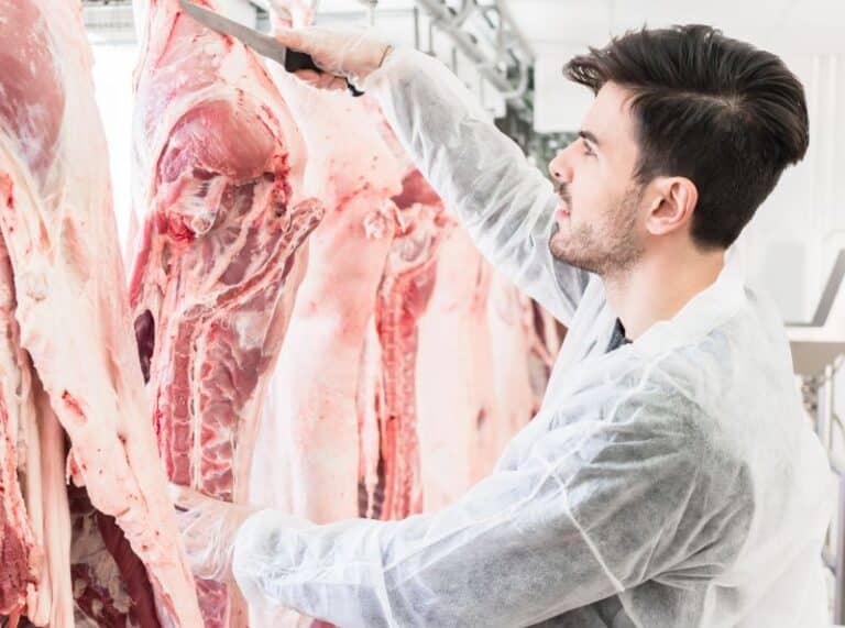 The Future of Safety and Hygiene in the Food Industry: The Impact of ...