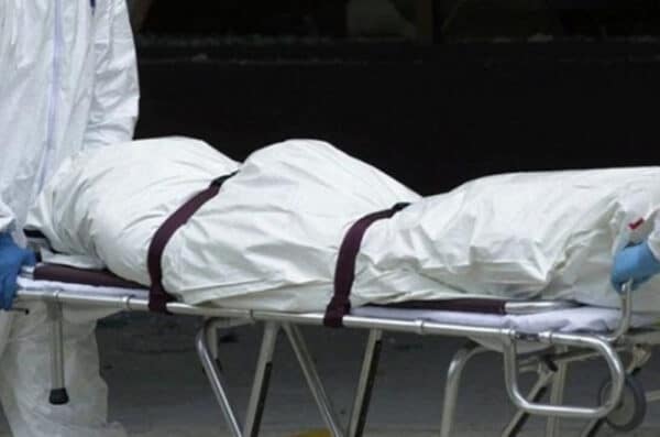 Elevate Medical Procedures with Disposable Body Bags